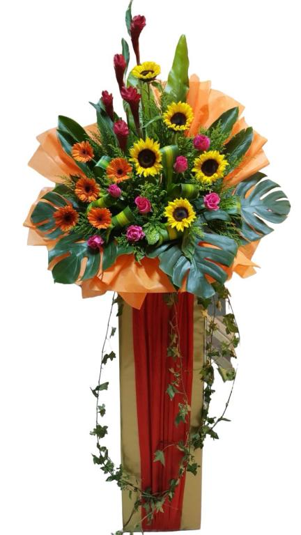 Flower Daily