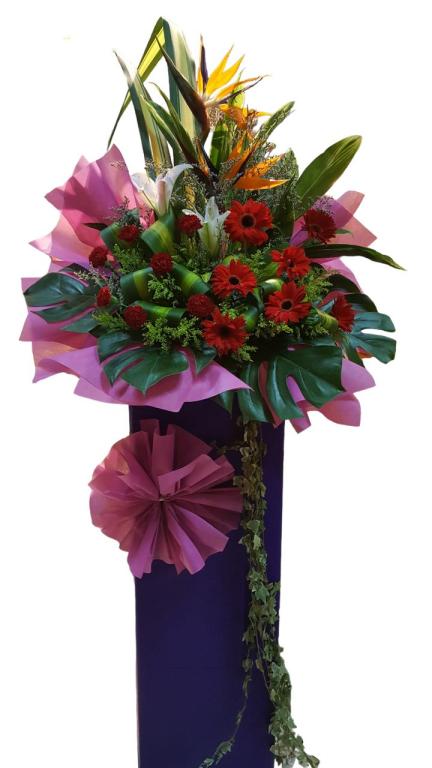 Flower Daily